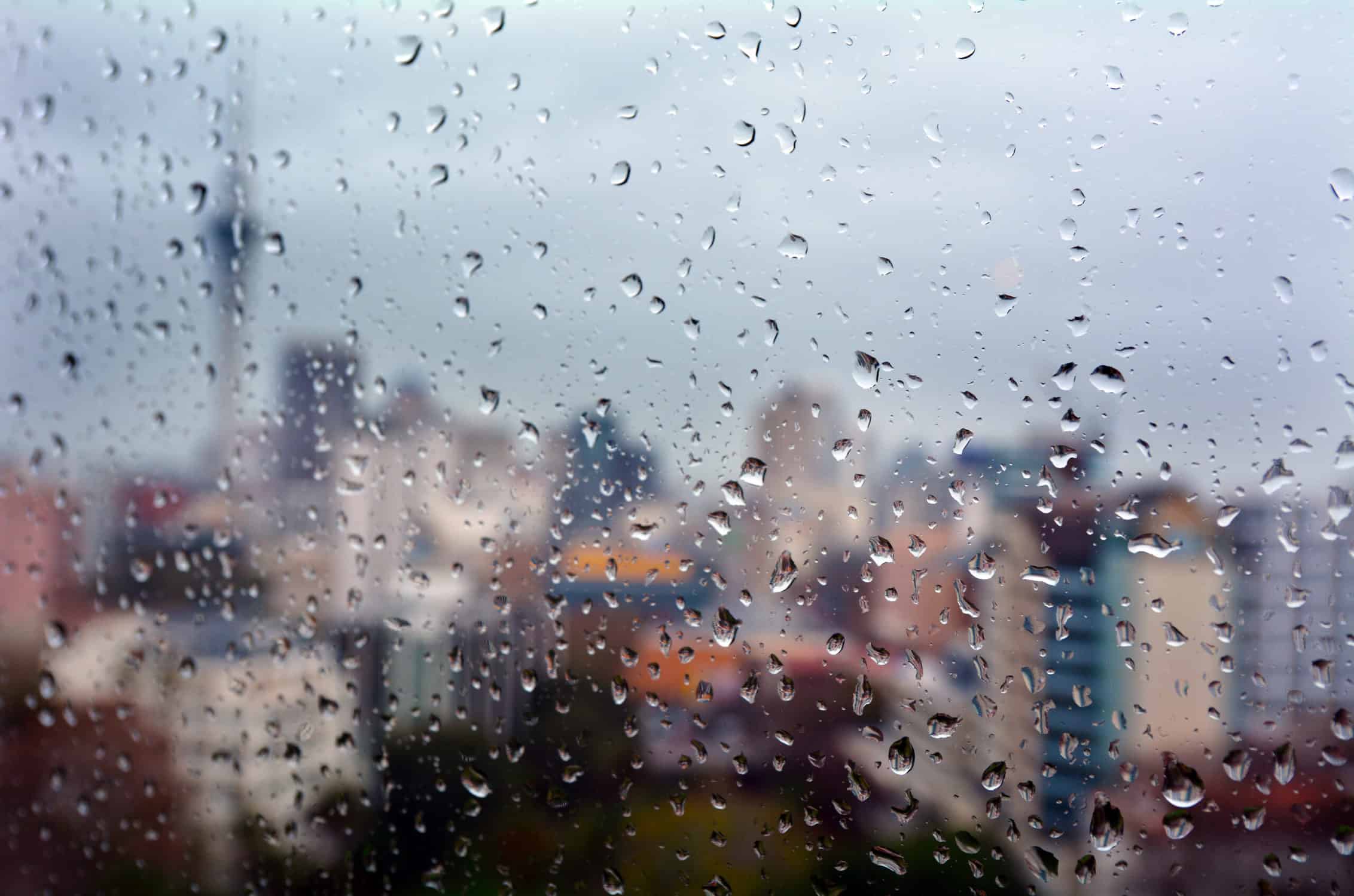 Best Indoor Activities in Auckland For a Rainy Day - New Zealand With Me