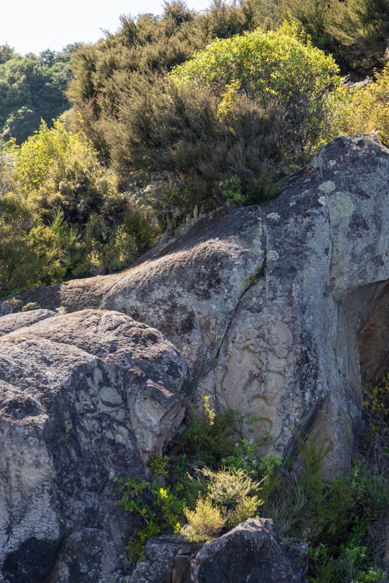 Visiting the Mine Bay Māori Rock Carvings in Taupō, New Zealand
